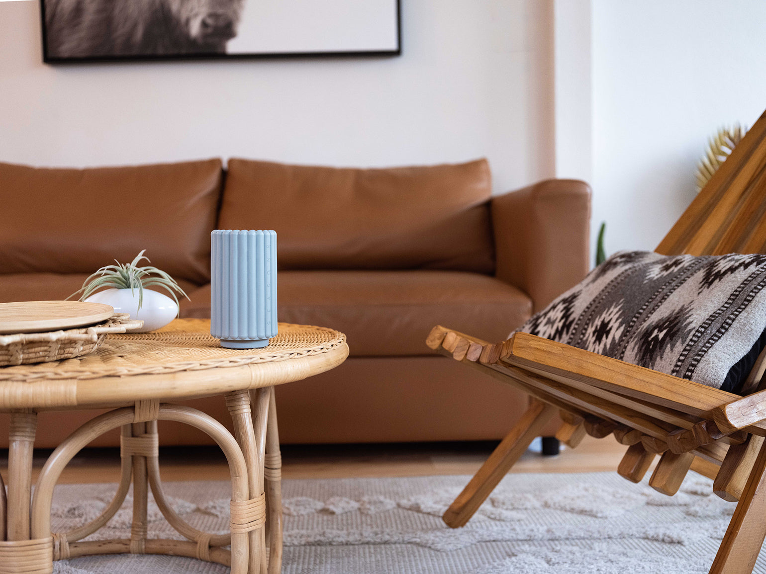 Bold and Eclectic: Aesthetic Diffusers for Bohemian Interiors – SEASONS