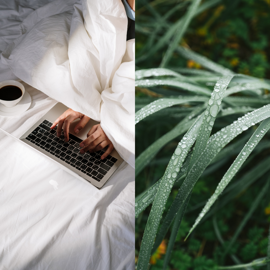 Grind Time – SEASONS